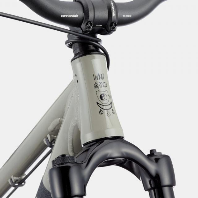 Cannondale med ny dirt jump bike - Cannondale Dave